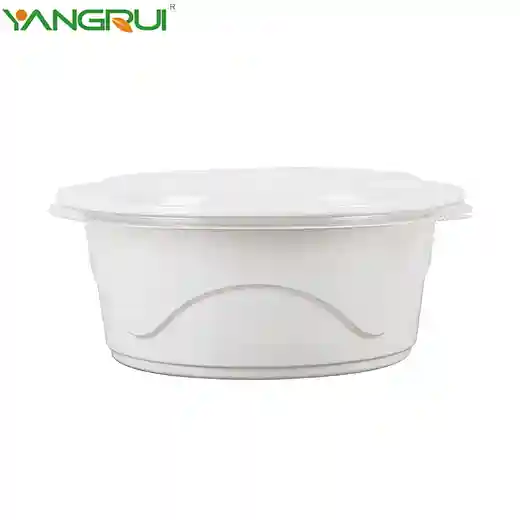 Leading Supplier of Custom & Clear Plastic Take out Containers | YANGRUI